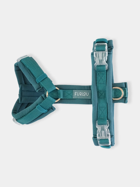 Harnais pour chien ultra léger Comfort - Teal - Furlou - inooko