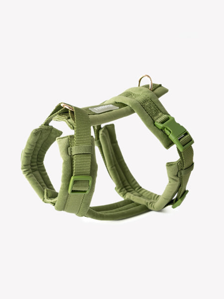 Harnais pour chien - Velvet Harness - Green (Vert) - Furlou – inooko