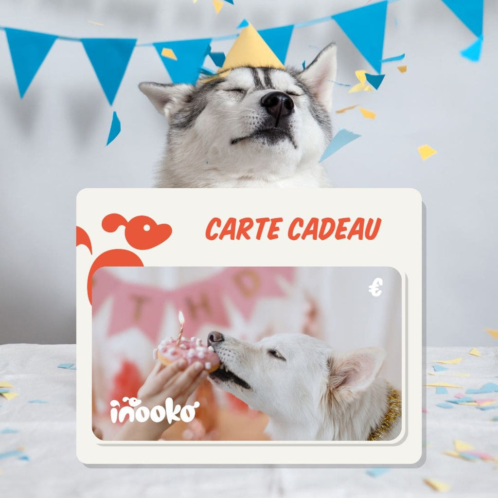 Peluche et jouets de Noël pour chien - Idées cadeau pour chien – Classé ...